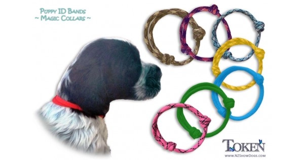 Paracord Whelping Collars - Magic Puppy ID Bands